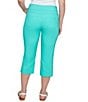 Ruby Rd. Stretch Straight Leg Pull-On Capri Pants | Dillard's