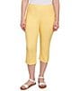 Ruby Rd. Stretch Straight Leg Pull-On Capri Pants | Dillard's