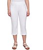 Ruby Rd. Stretch Straight Leg Pull-On Capri Pants | Dillard's