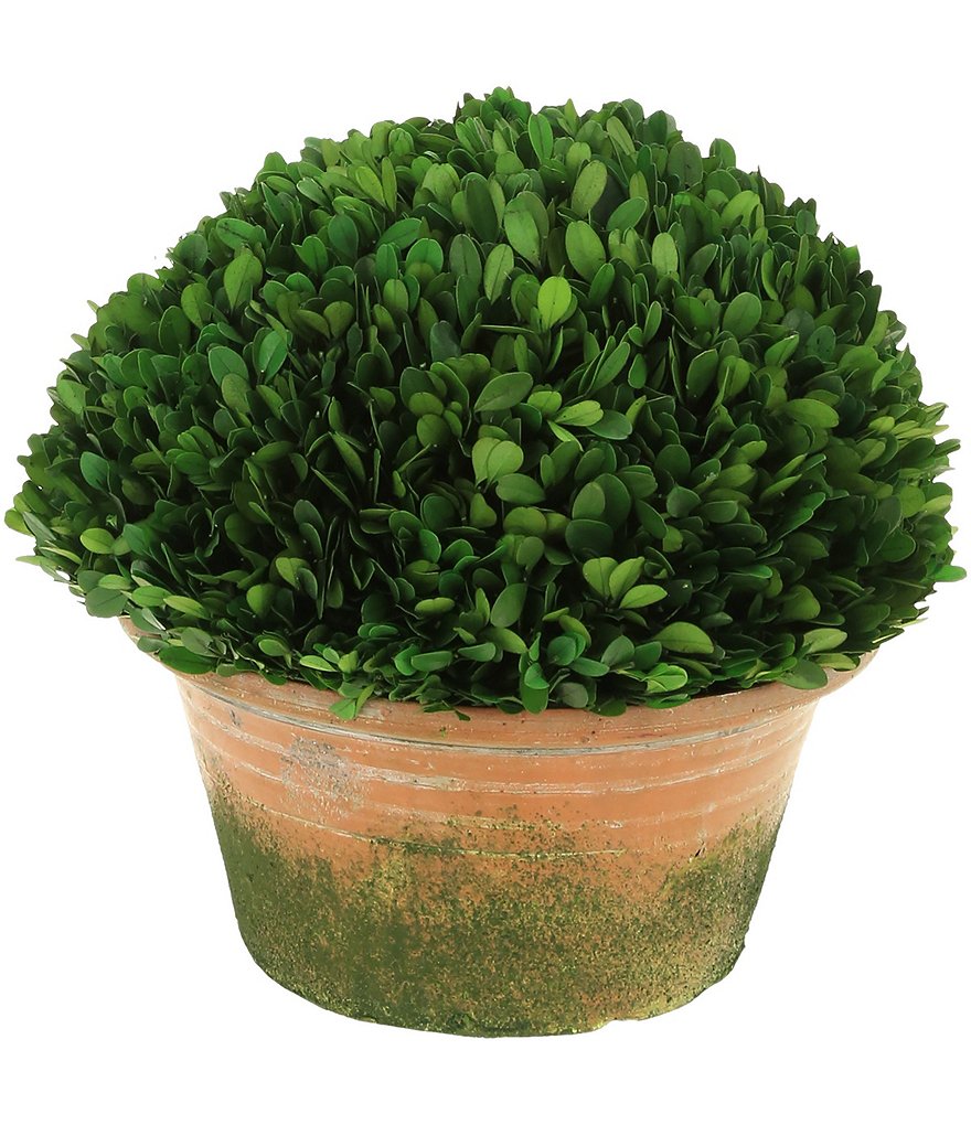 Mark Roberts Boxwood Topiary- 12" | Dillard's