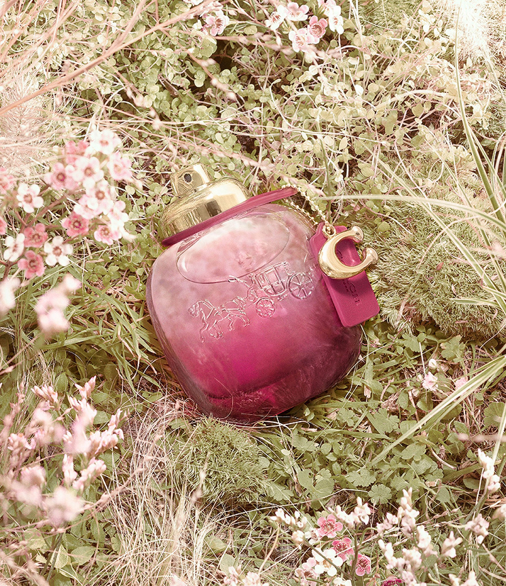 COACH Wild Rose Eau de Parfum Gift Set | Hamilton Place