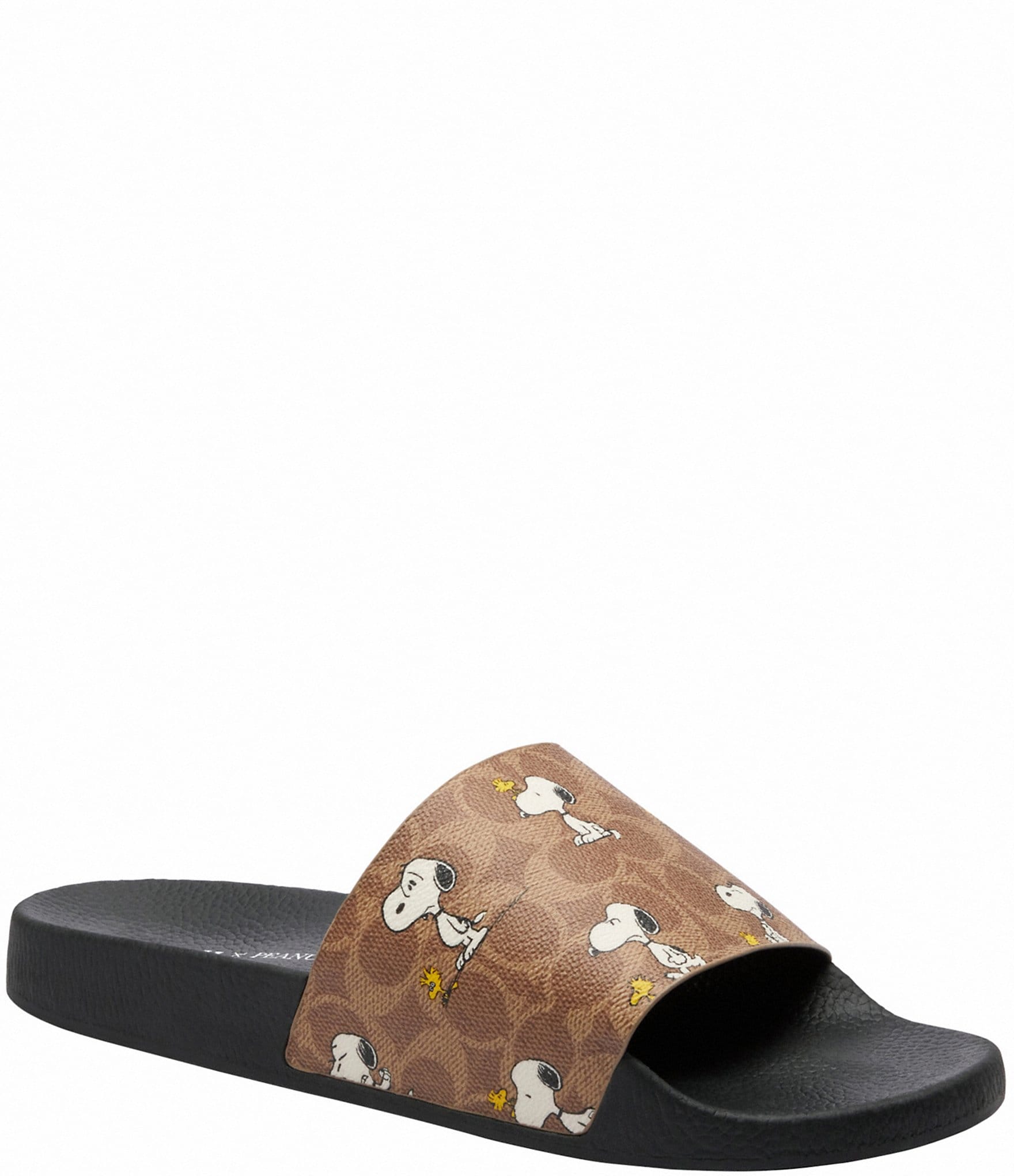COACH X Peanuts Pool Slide Sandals | Dillard's
