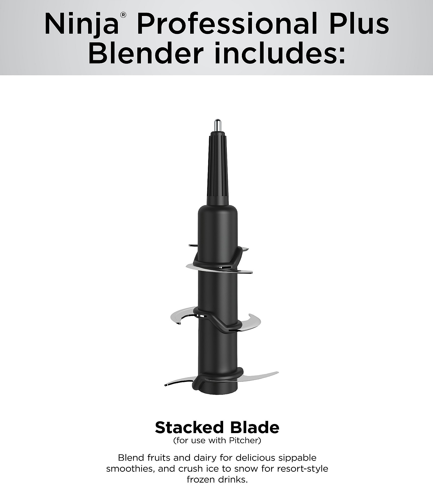 Ninja Professional Plus Blender with Auto-iQ | Hamilton Place