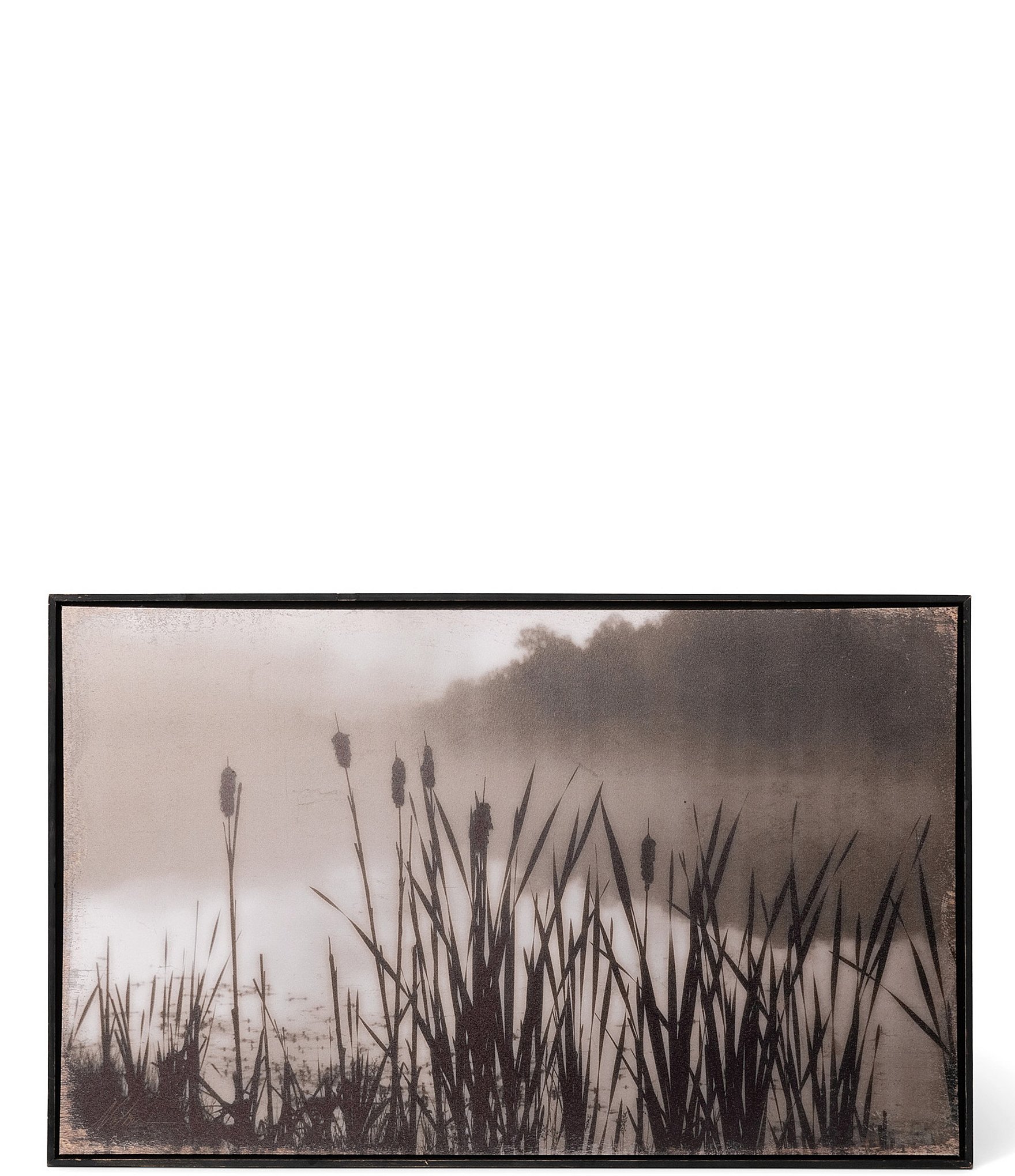 Park Hill Rustic Modern Collection Framed Cattail Printed Wall Art ...